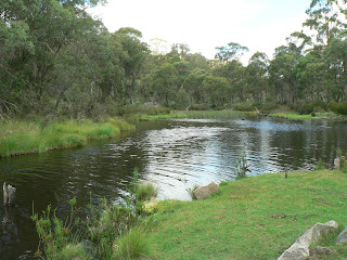 ACT and NSW camping: Back to the High Country - Paddy's River Dam, Free ...