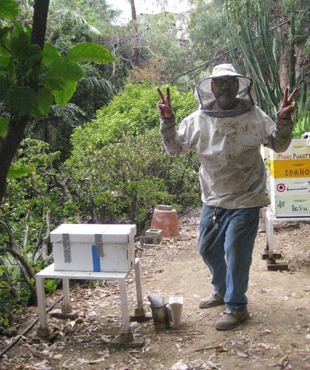 Backwards Beekeepers: September 2010