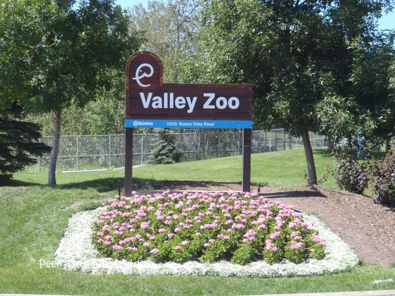 Lay's Chip Trip~ The Edmonton Valley Zoo