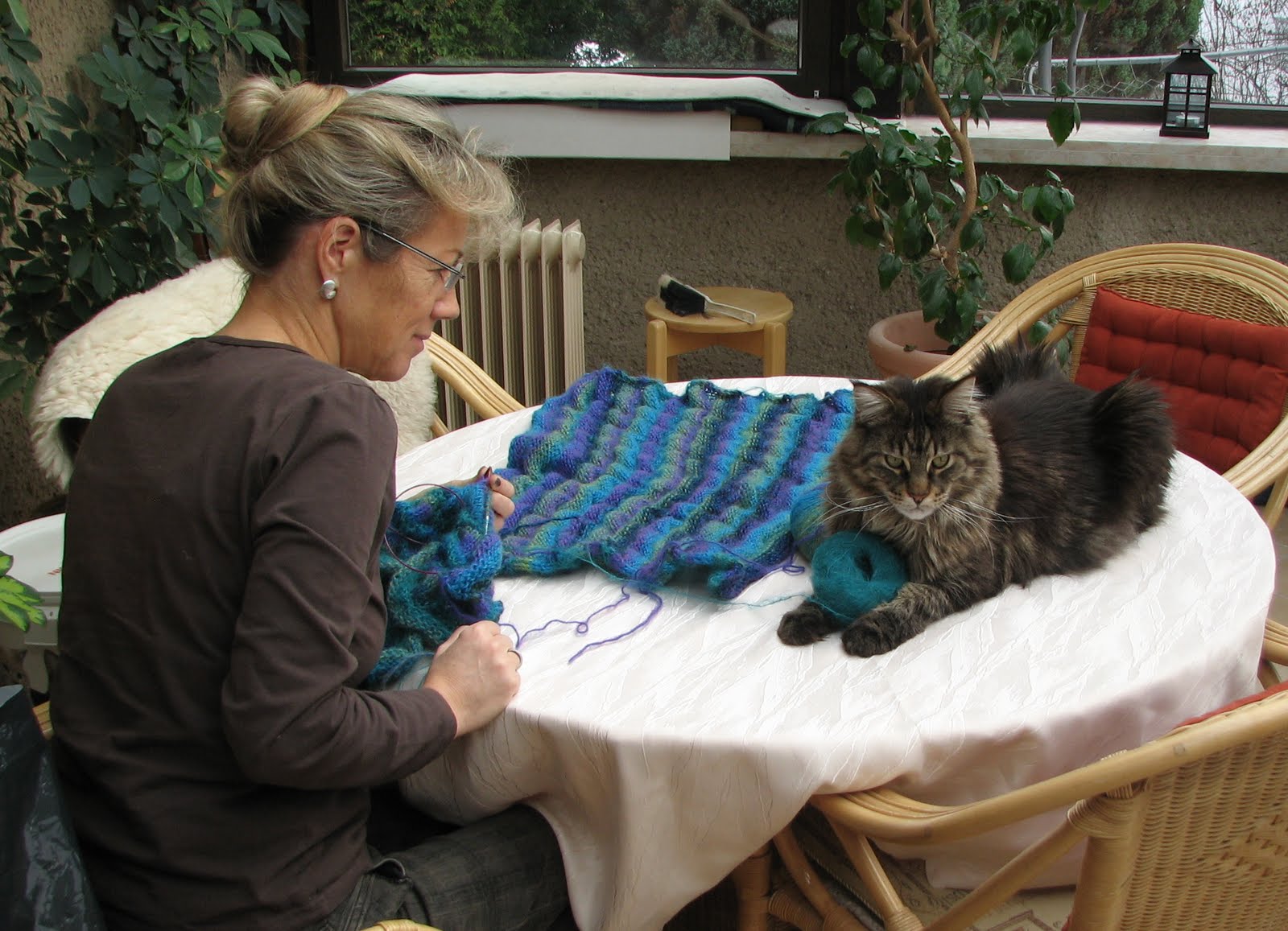 Ankes Strick- und Nähstübchen: 02.01.11 - 09.01.11