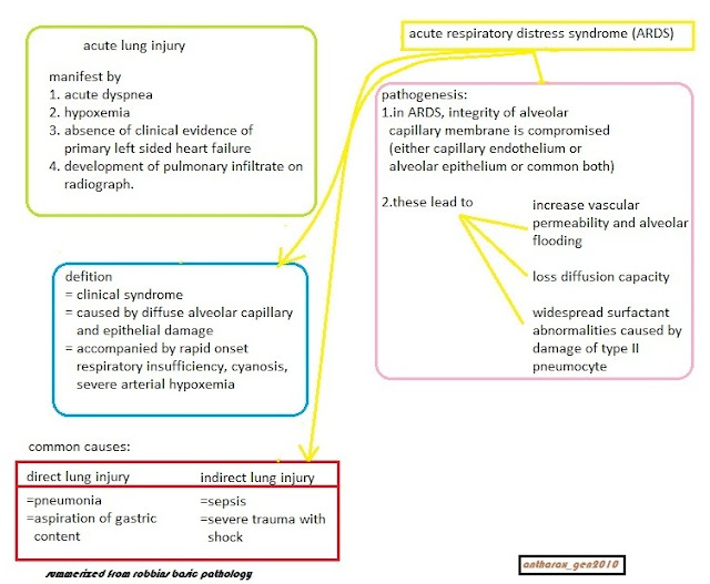 Leap Further=>: Acute Respiratory Distress Syndrome (ARDS)