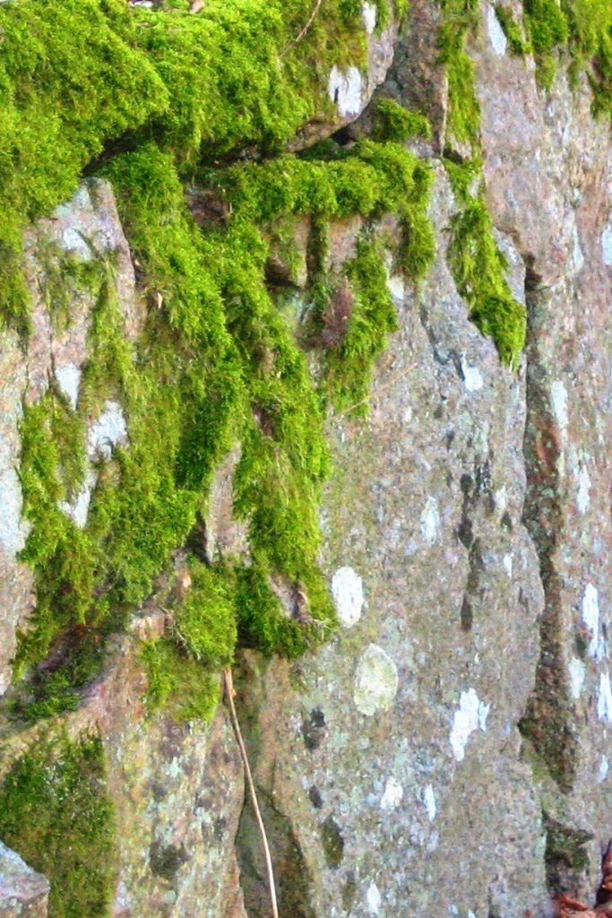 MOSSA Trädgårdsmästeri & Design: Trädgårdens element - Sten