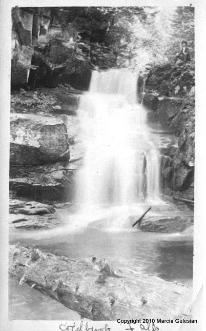 North Country Chronicles: The Comings and Goings of Life in Randolph ...