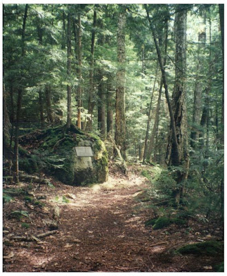 North Country Chronicles: A Visit to Coldbrook Falls Memorial Reservation