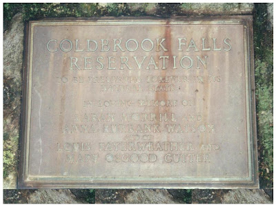 North Country Chronicles: A Visit to Coldbrook Falls Memorial Reservation