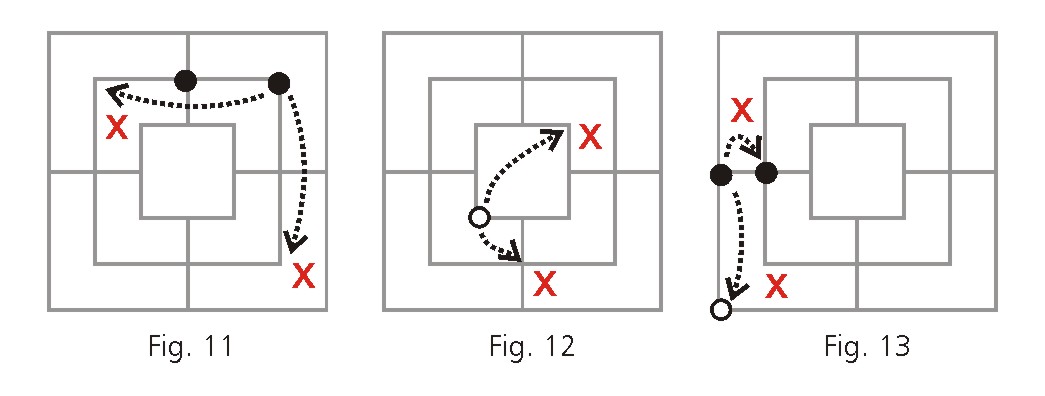 Traditional Board Games of India: 2010