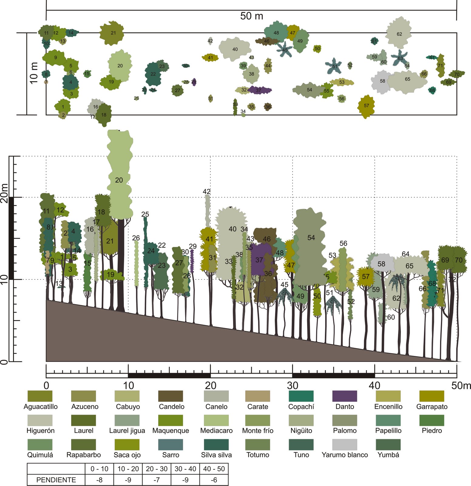 INGENIERIA FORESTAL: Software Corel Draw X3