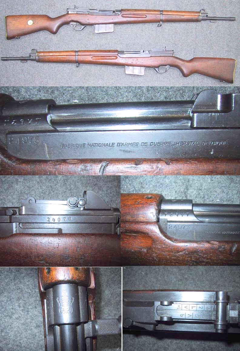 Fusil SAFN-49 (SLEM) | Armas de Fuego