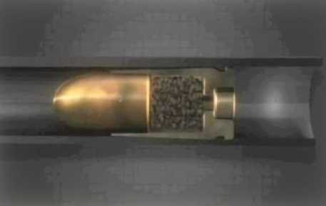 Armas de Fuego: 11/01/2010 - 12/01/2010