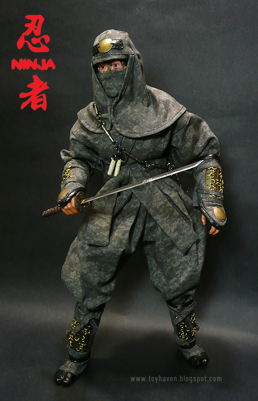 toyhaven: Crazy Owners Camouflage Ninja REVIEW II