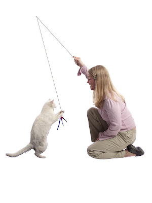 Surabaya Cat Lover: Alat Bermain Kucing