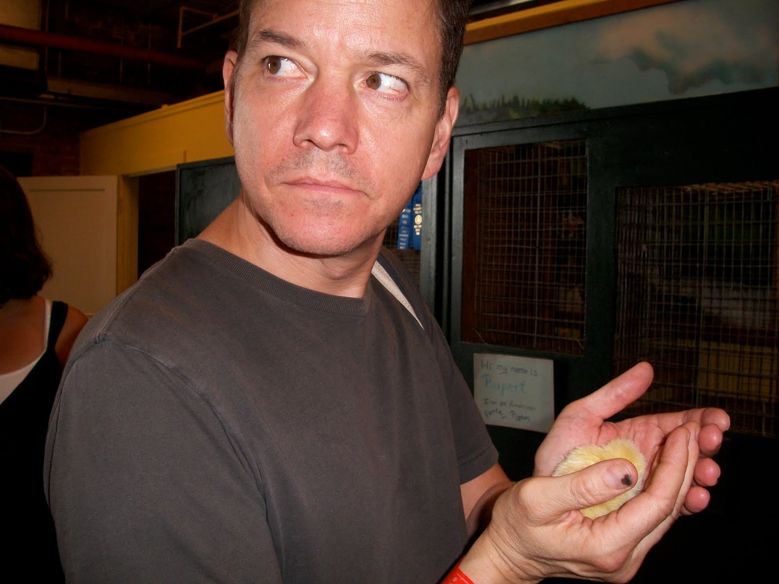 Eat Your Feelings: The Great Big Fat New York State Fair