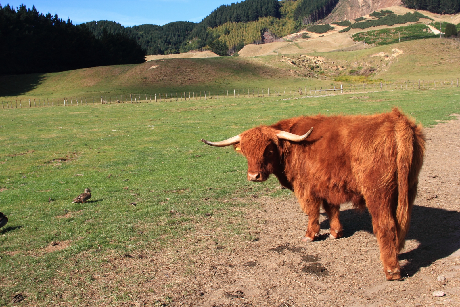 May 2010 | PhotoTale