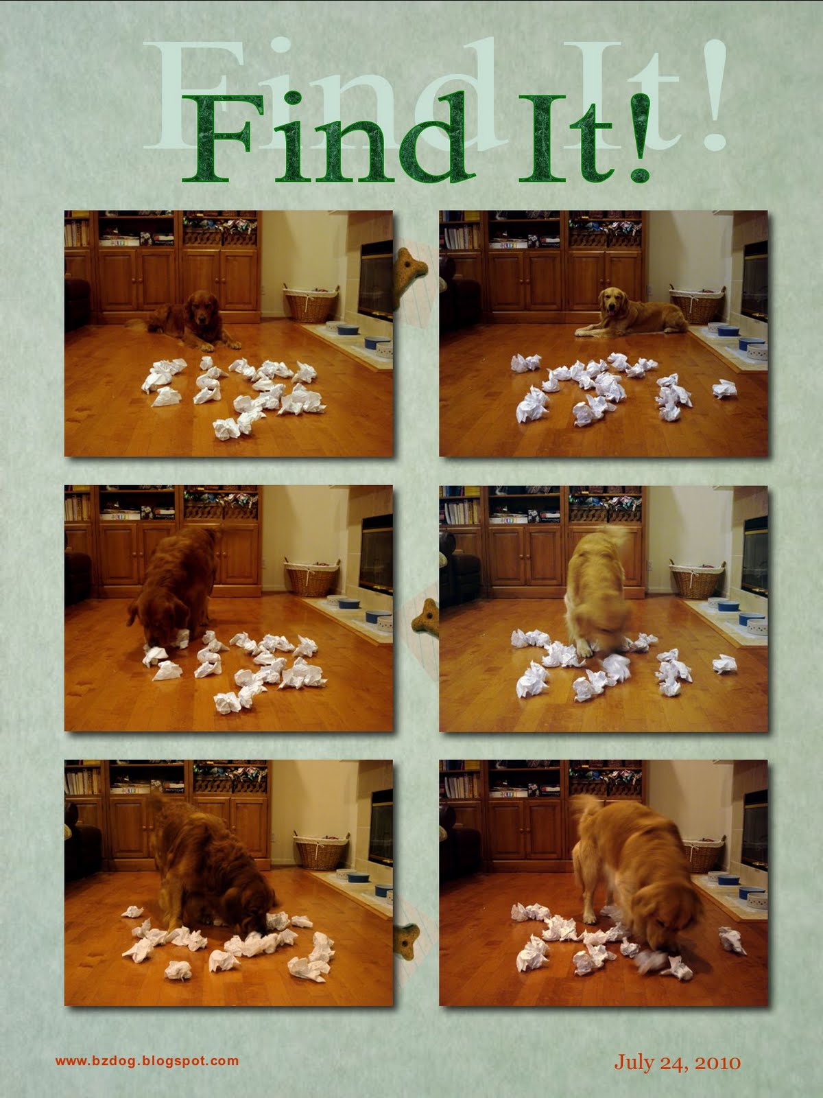 BZ Dogs: Scrapbook - Find It!