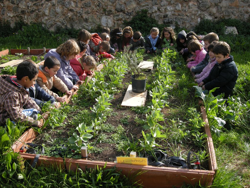 BLOC DE SISÈ: VISITAM L'HORT ESCOLAR
