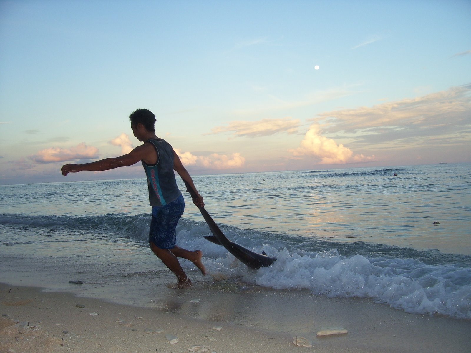 LINTAS LINGKUNGAN HIDUP: PULAU MARORE WILAYAH TERDEPAN NEGARA KESATUAN ...