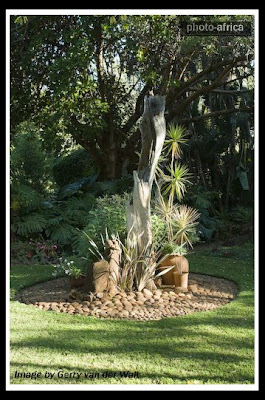 Photo-Africa: African Wildlife, Nature & Environmental Photography ...