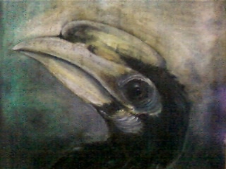 galery simpang: Lukisan burung Rangkok