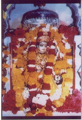 Official Blog of Manasvi Mehta: Maa Pitambara- Baglamukhi