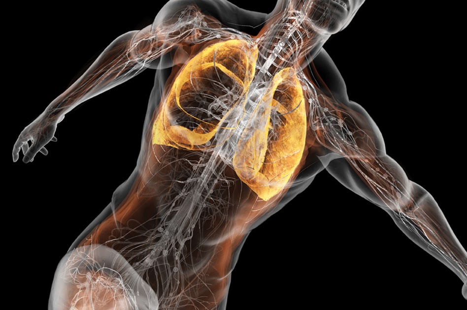 HEALTH COACH: Basic Health Habit No.5: Breathing