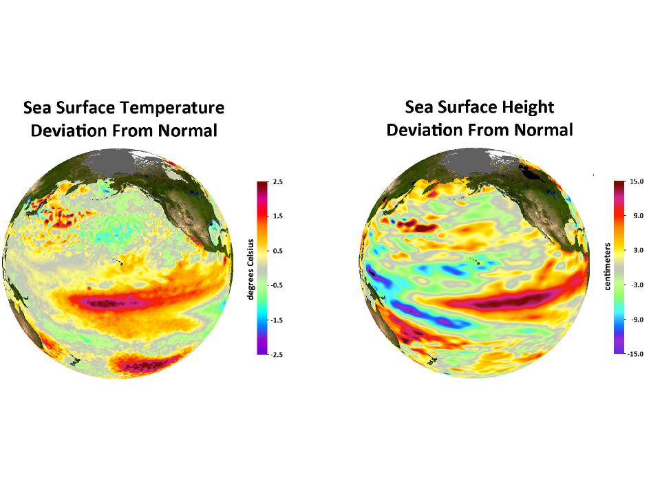 nonsense-verse: Normal sea surface temperatures