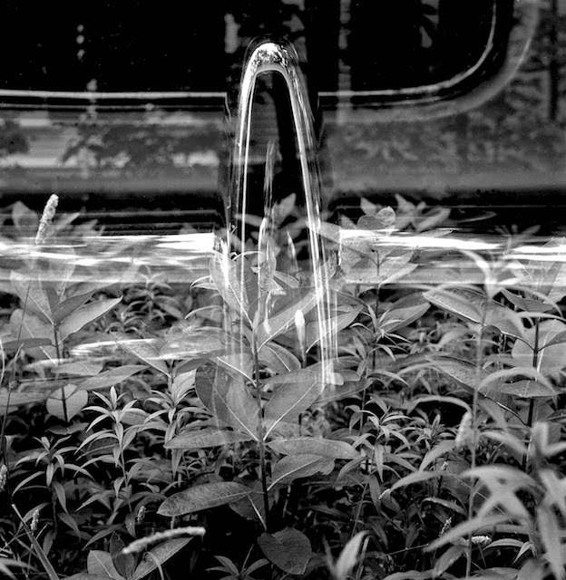 Dave Wilkinson Art: Multiple Exposure