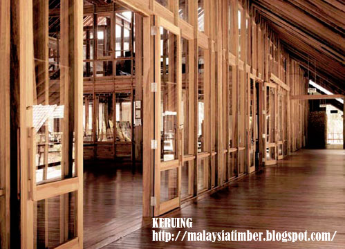 Sarawak Timber Company: KERUING SPECIES