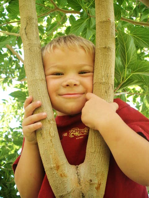 Paisley Ann Photography