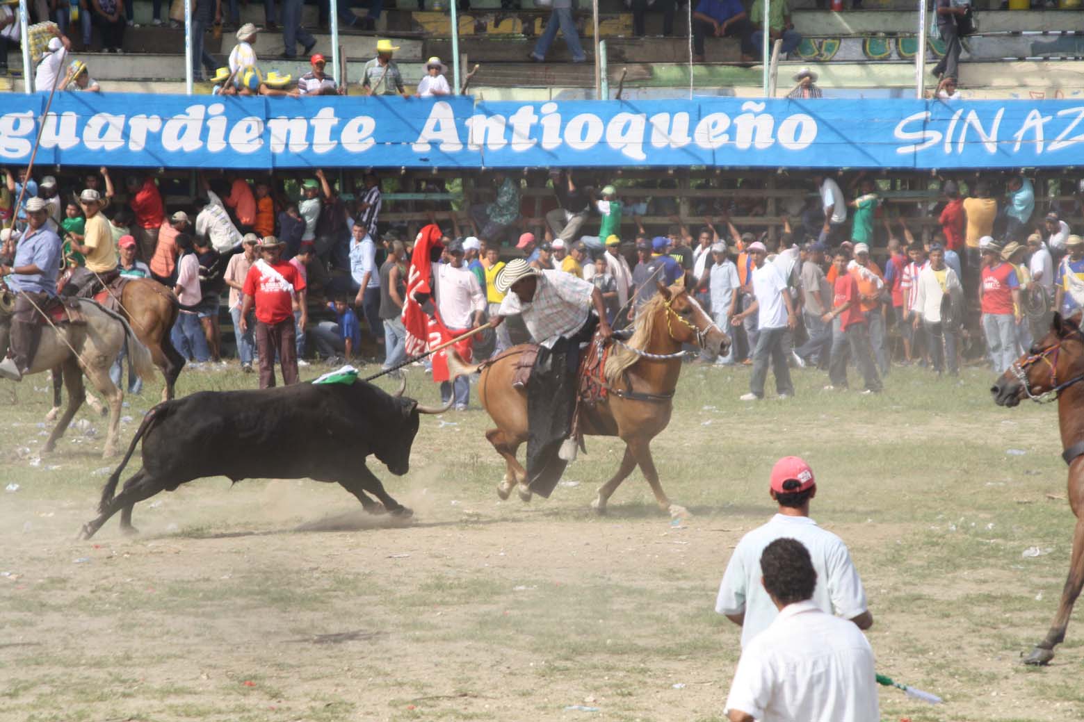 Corralejas de Sincé: Fotos de las actuales Corralejas
