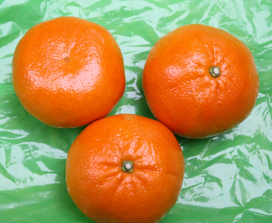 oklahoma tinctoria: Colors of "Cuties"