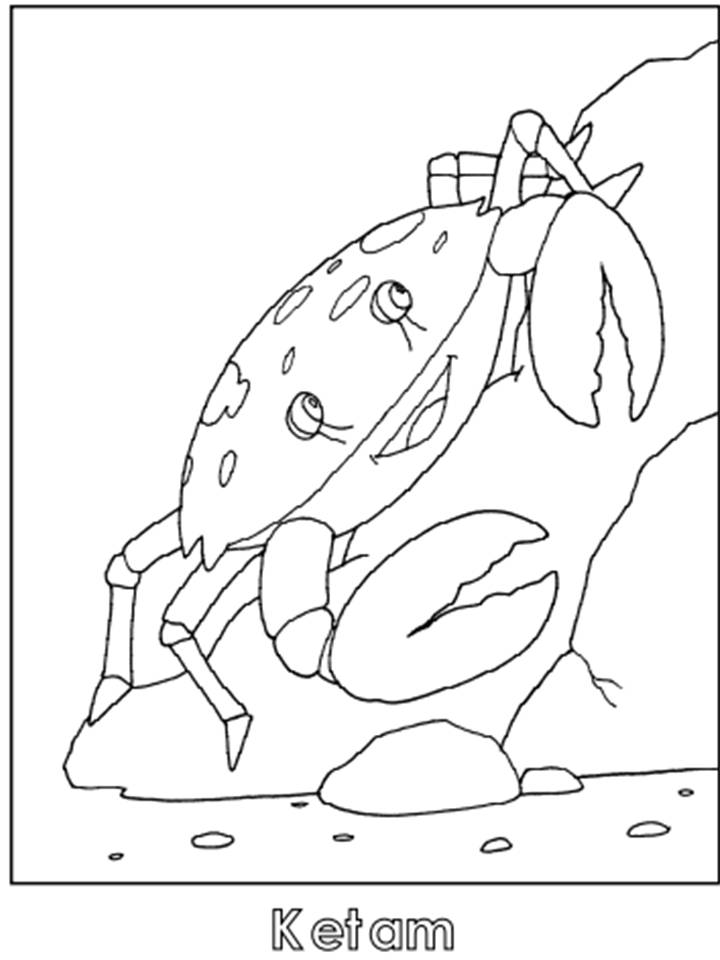 PRASEKOLAH CIKGU SARIFAH: Mari mewarna