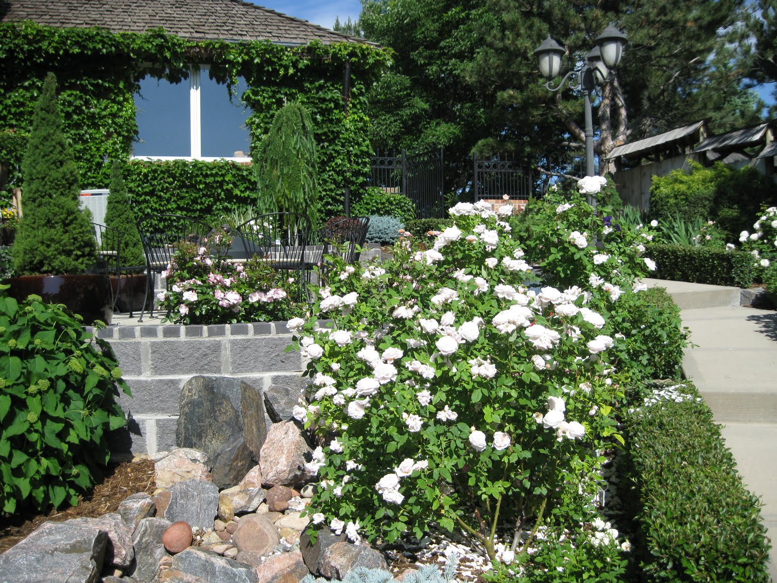 Kent and Rolayne: Mediterranean Garden