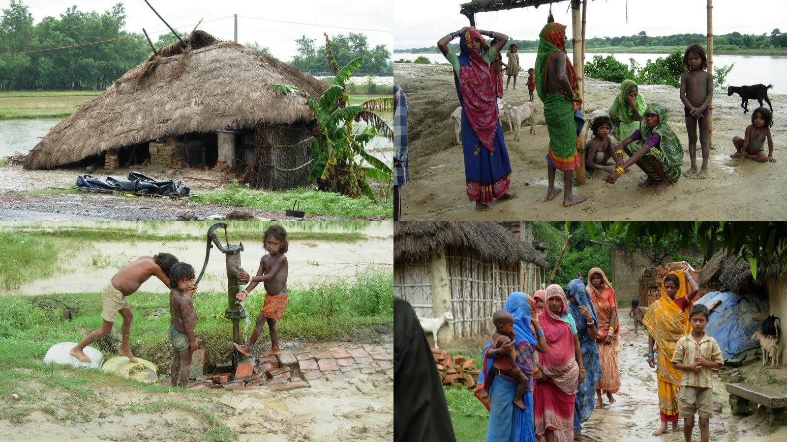 National Dalit Watch-NCDHR: About National Dalit Watch of NCDHR