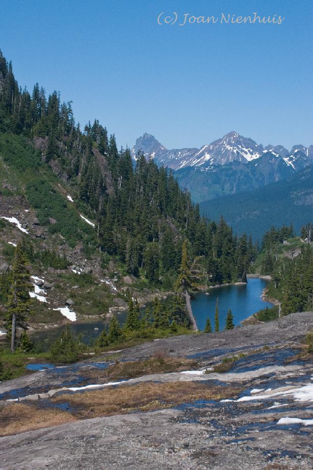 Pacific Northwest Photography: Heather Meadows, Mt. Baker Ski Area