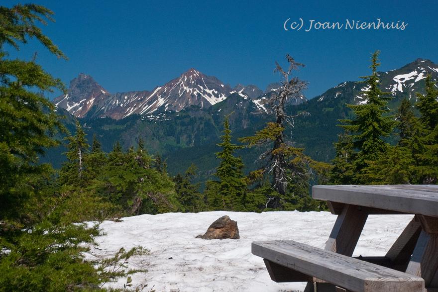 Pacific Northwest Photography: Heather Meadows, Mt. Baker Ski Area
