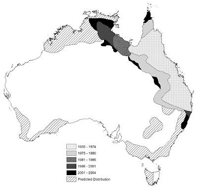 Toadally Awesome Toad Facts: The spread of cane toads in Australia