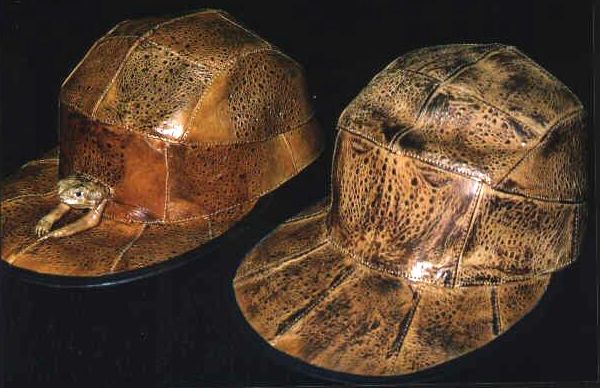 Toadally Awesome Toad Facts: Uses of the cane toad