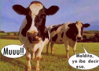 vacas mu! ~ El Blog de Pionn