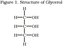 Biology 11: Topic 7: Inner workings of the cell: Lipids
