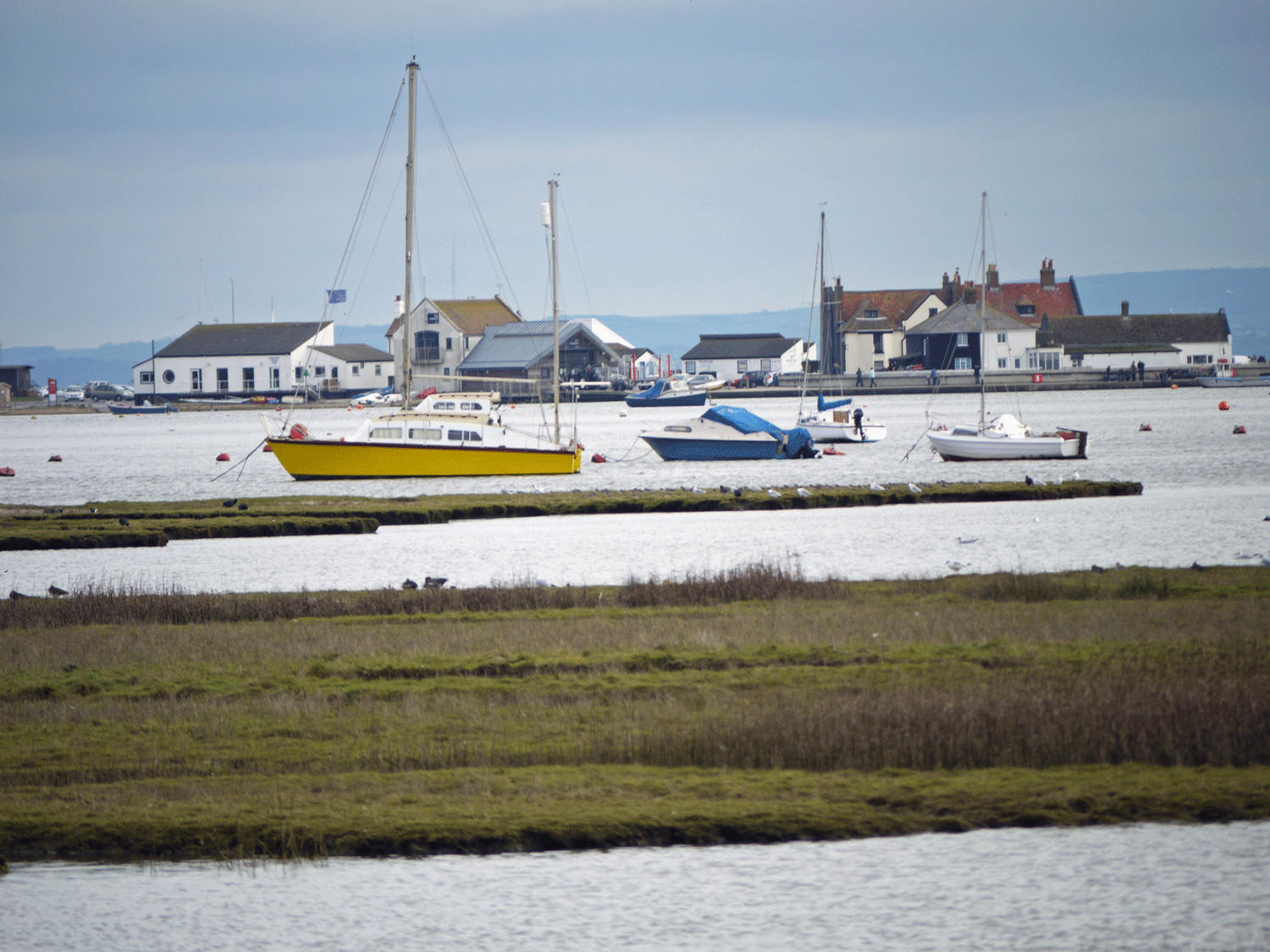 Country File: Stanpit Marsh & Hengistbury Head