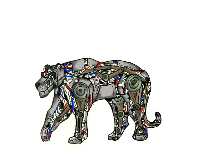 Robyn Elderfield Illustrator: Machine Animals