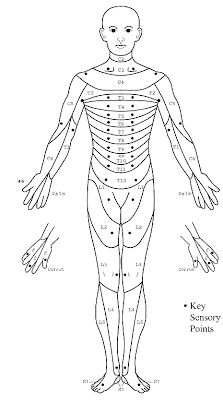 warily optimistic: More Progress -- Numbers Going UP!