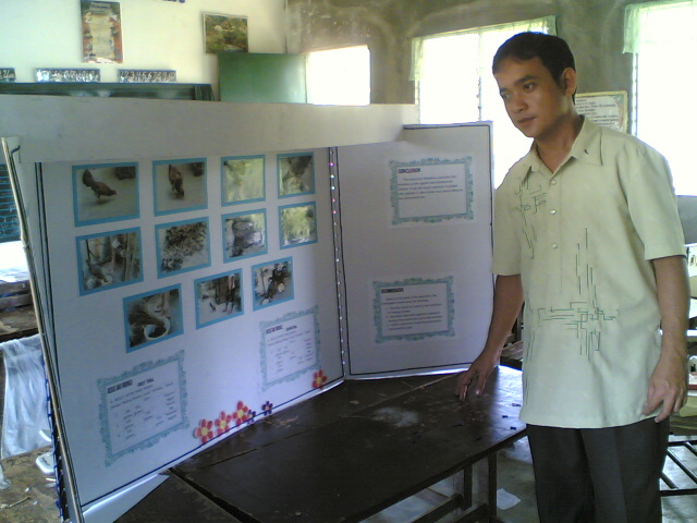 A teacher who blogs: SCIENCE INVESTIGATORY PROJECT