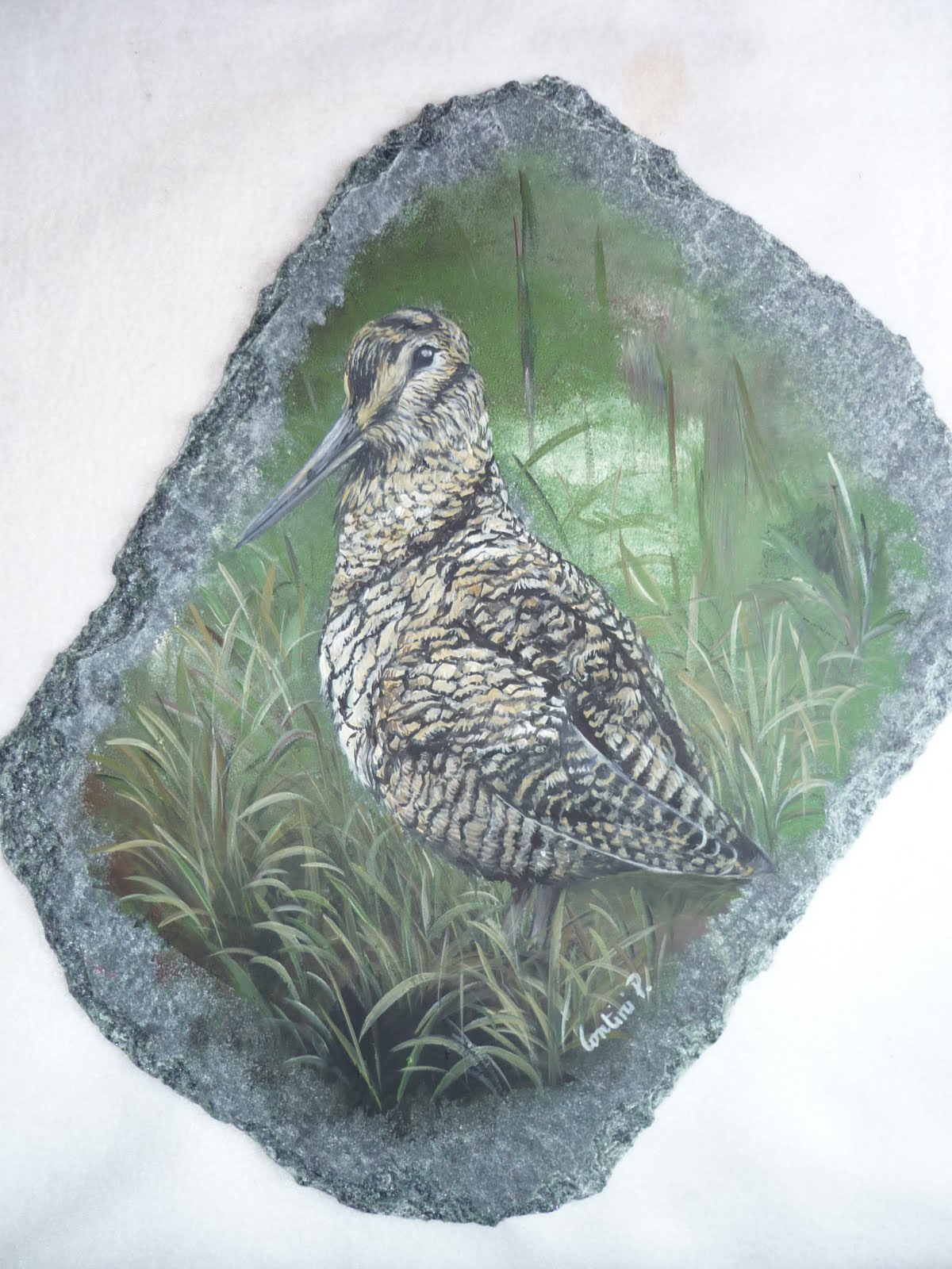 DECORARTE: PASSIONE BECCACCIA