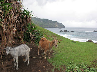 Gridcrosser: Back From Batanes: Images of Batan Island