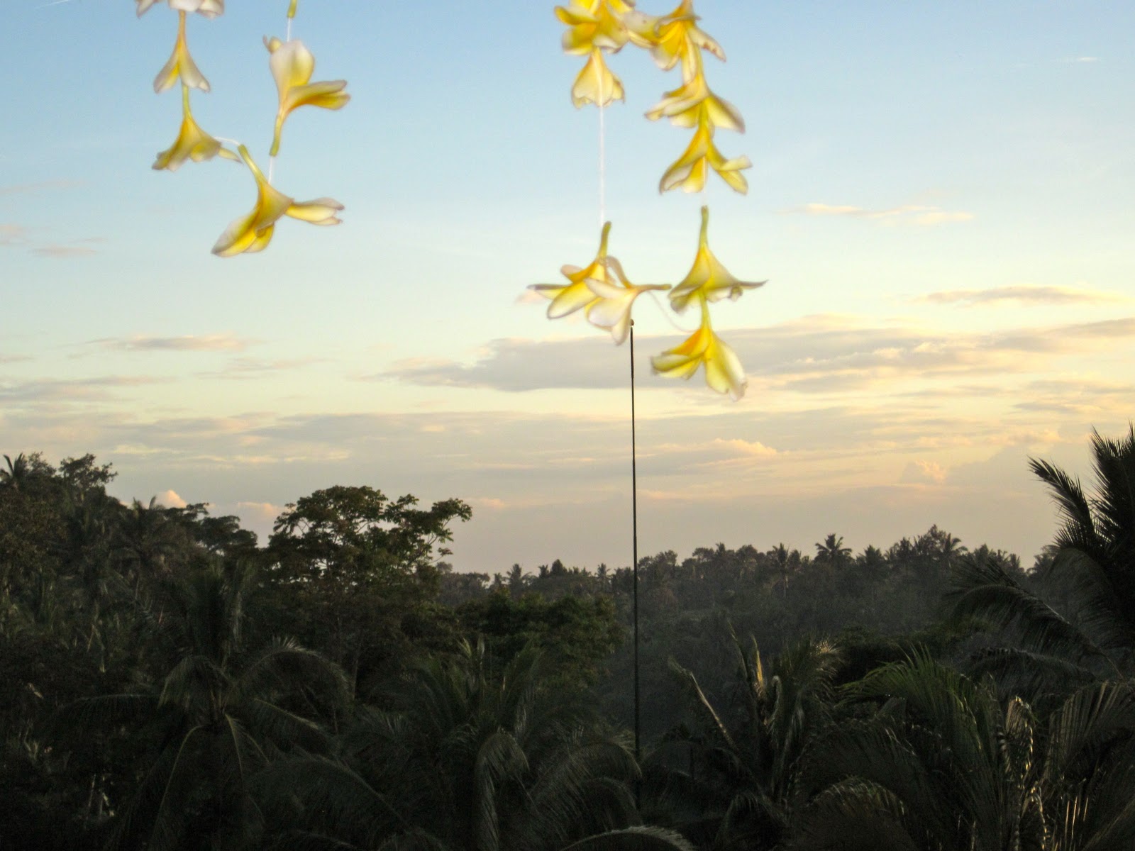 Travelmoon: A Look Back at BALI