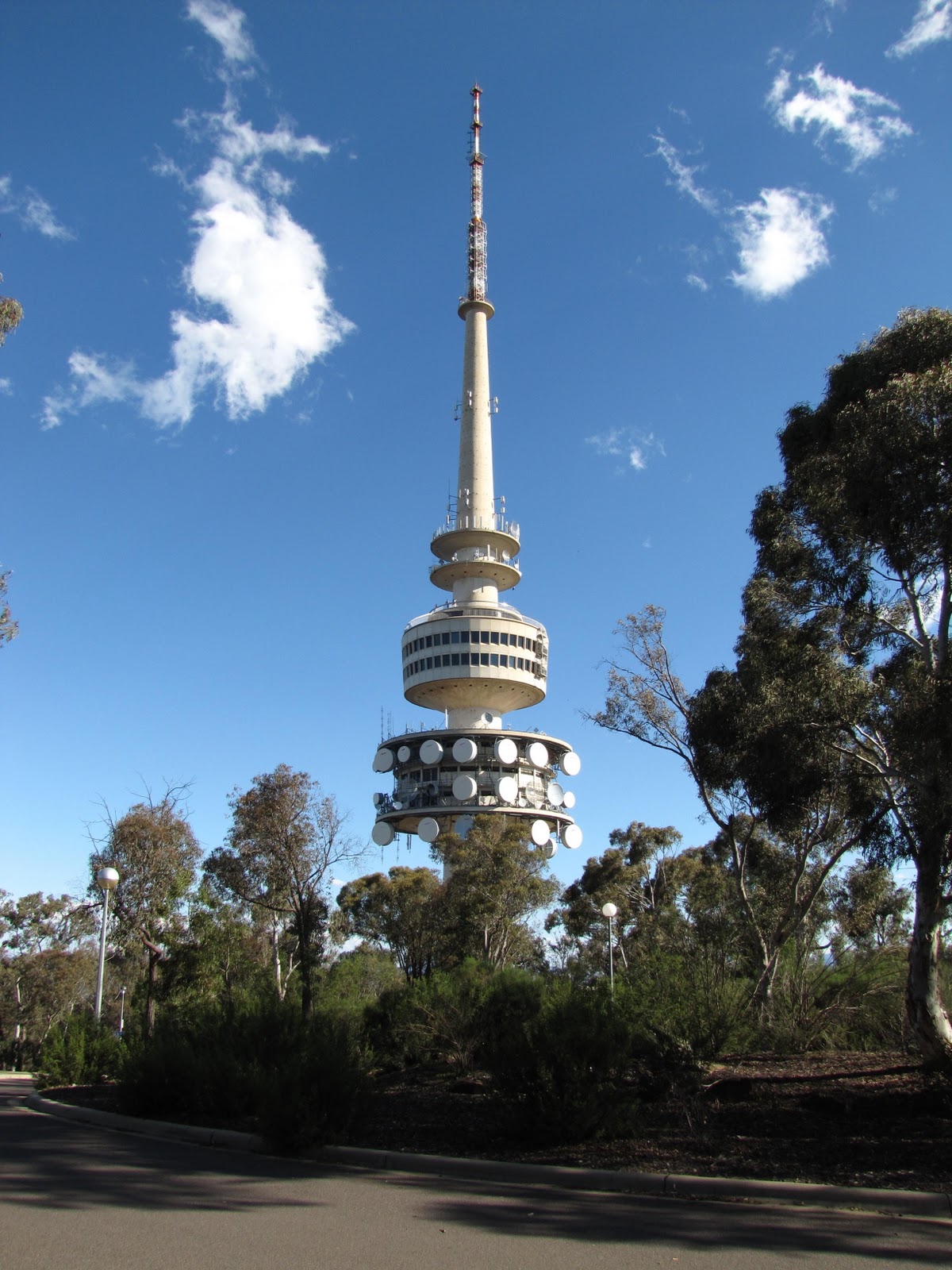Brisbane Adventures: The Telstra tower - modelled on a Grass Tree?!