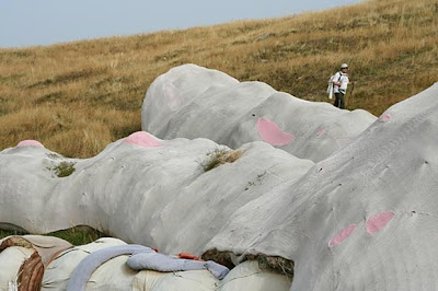 Bright Black Blog: BIG PINK BUNNY IN THE ALPS