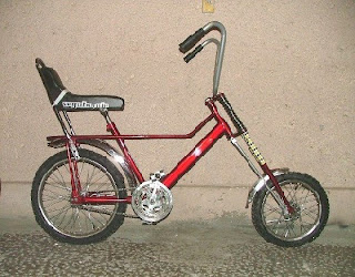 bici mexico: BICICLETAS VAGABUNDO MEXICO