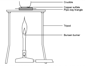 The Smarticle Particles: The Magnificent LAB 4C :)